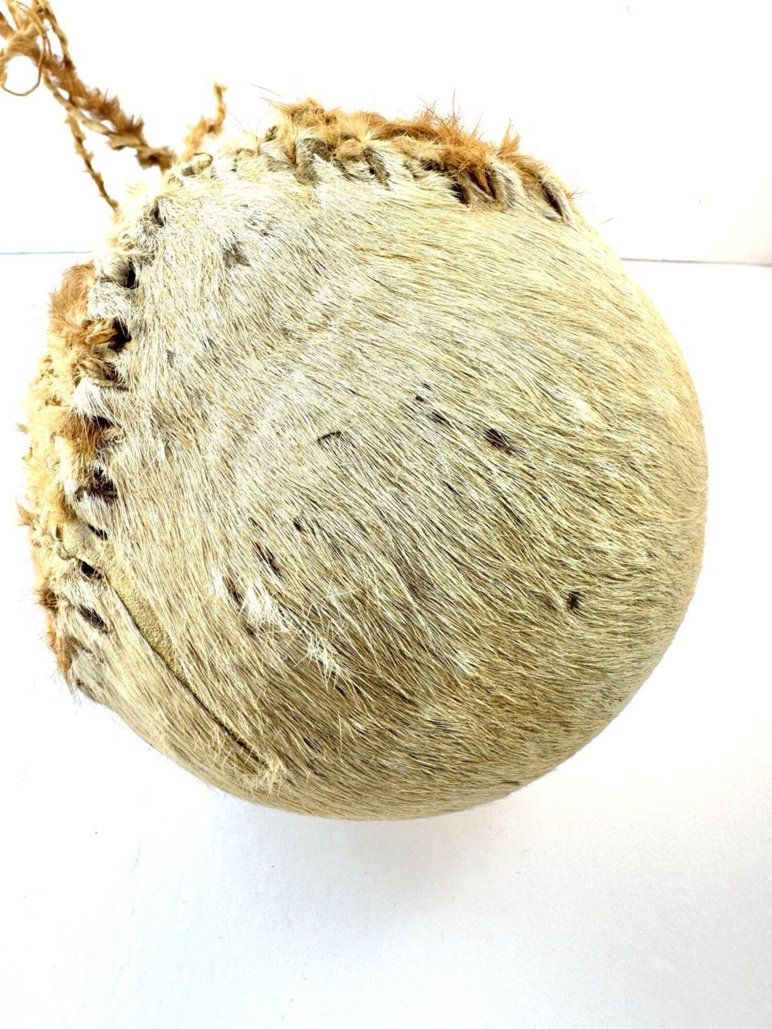 Vintage African Milk Mala Calabash Goat Hide Gourd Kenya Massai - Etsy