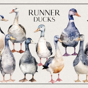 Runner Duck Clipart | Set of 12 Watercolour Duck PNGS for Sublimation ...