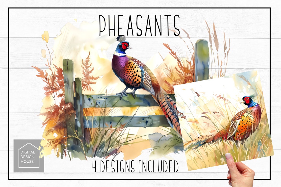 Pheasants Watercolour Art | 4 Pheasant Wildlife Designs Pngs Files for ...