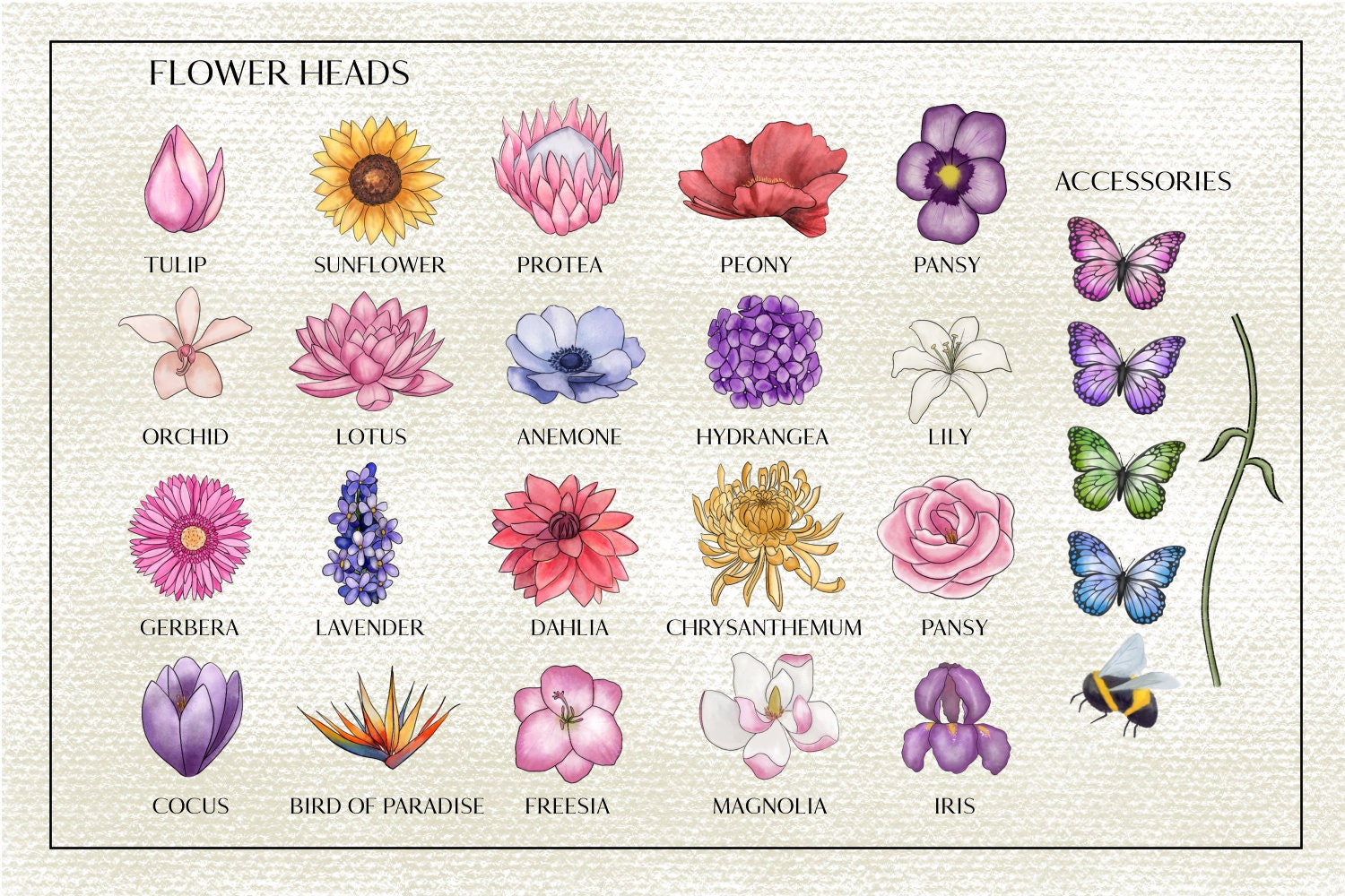 Flower Stem Art Creator: Add Your Own Text (digital Download) - Etsy