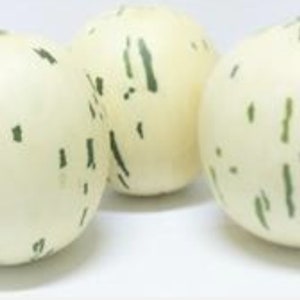 30x Viable Sweet Snowball Melon gaya Fresh Seeds. UK SELLER - Etsy UK