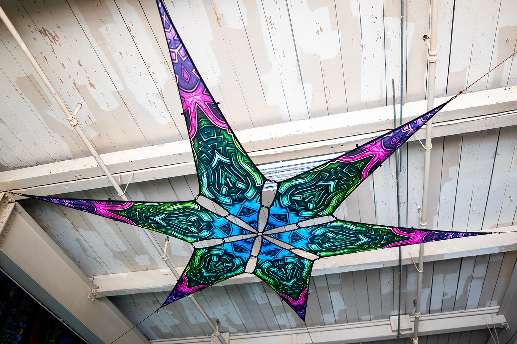 UV / Blacklight Reactive 6 Petal Star Canopy Shining Star by - Etsy