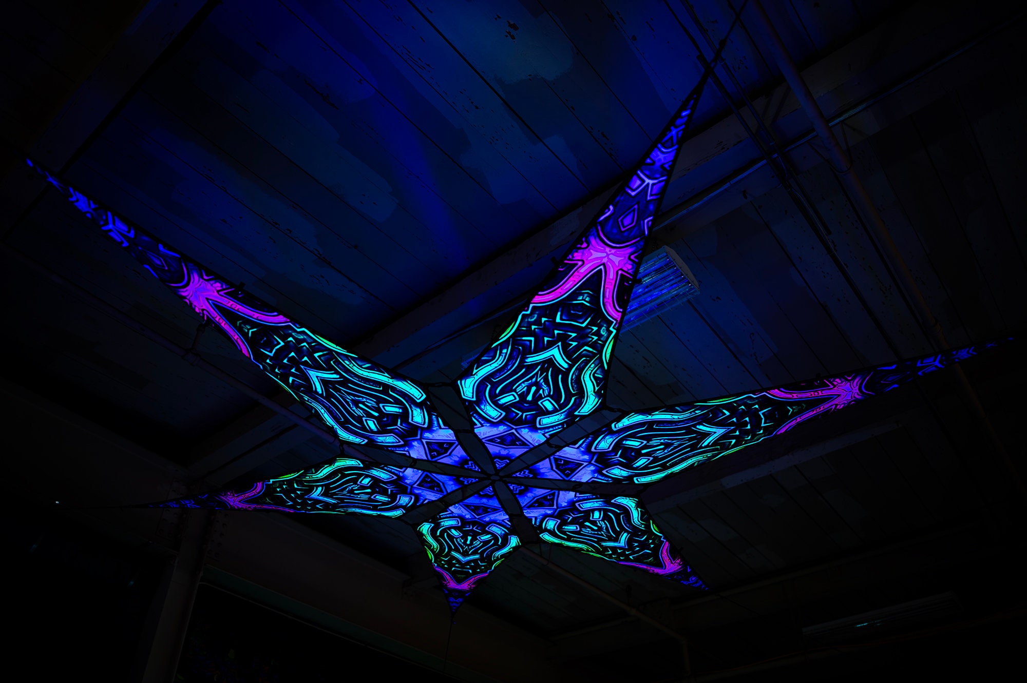 UV / Blacklight Reactive 6 Petal Star Canopy Shining Star by - Etsy