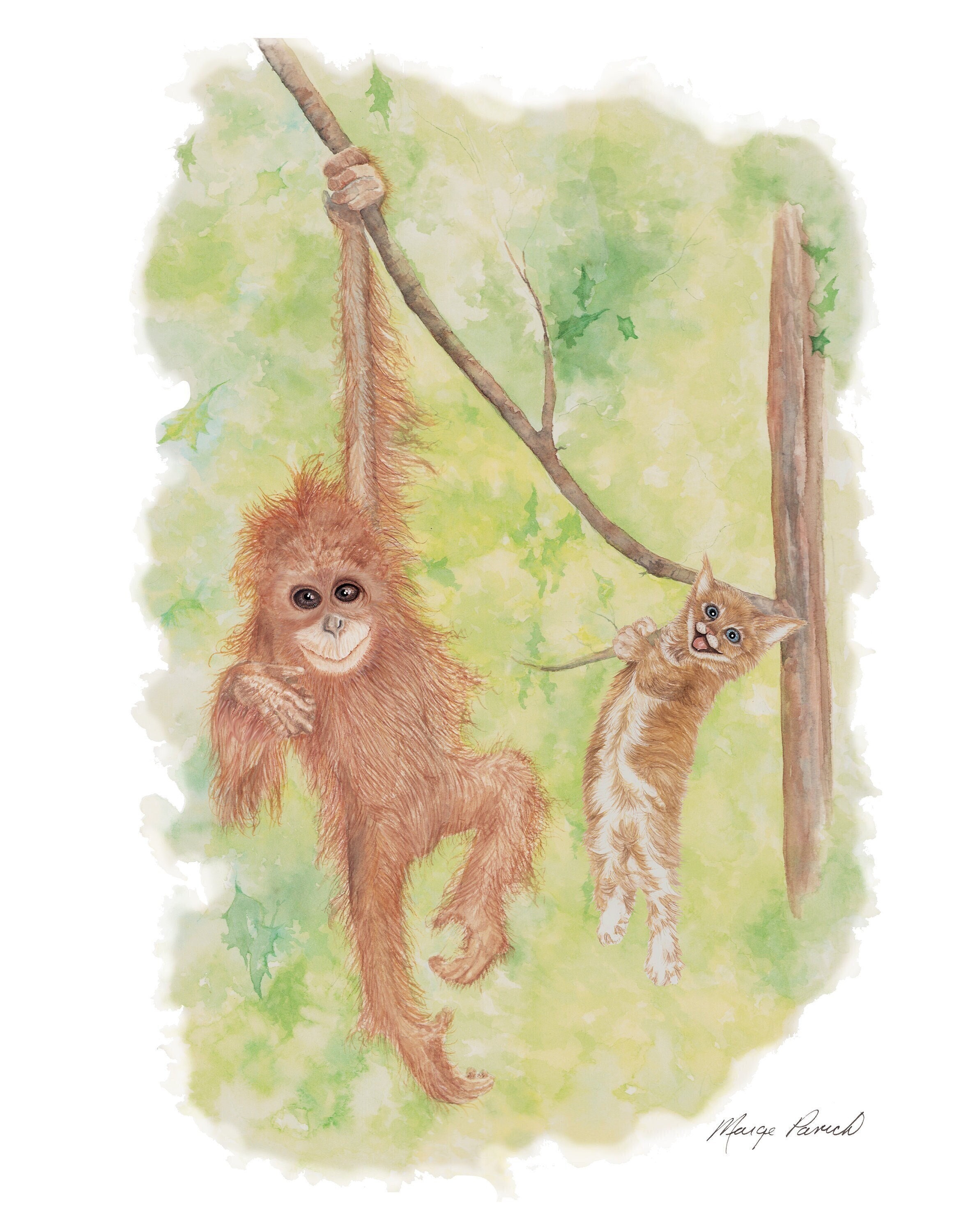 Baby Orangutan & Kitten Print Orangutan Painting Baby Animal - Etsy