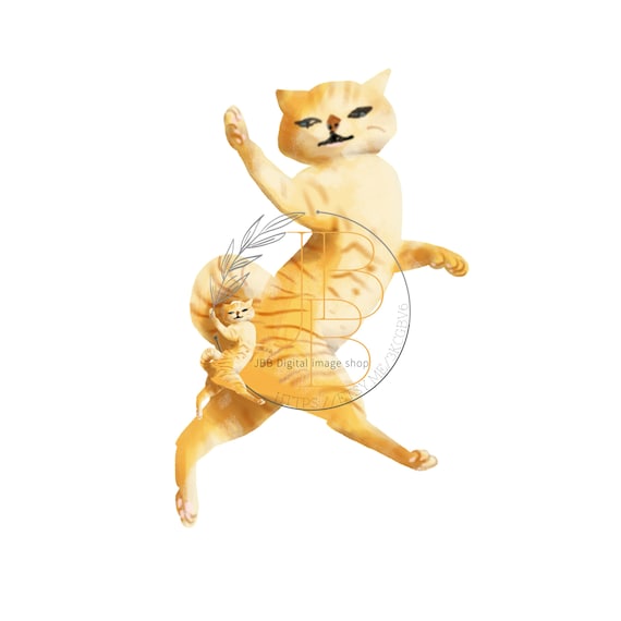 Flying Cat Png