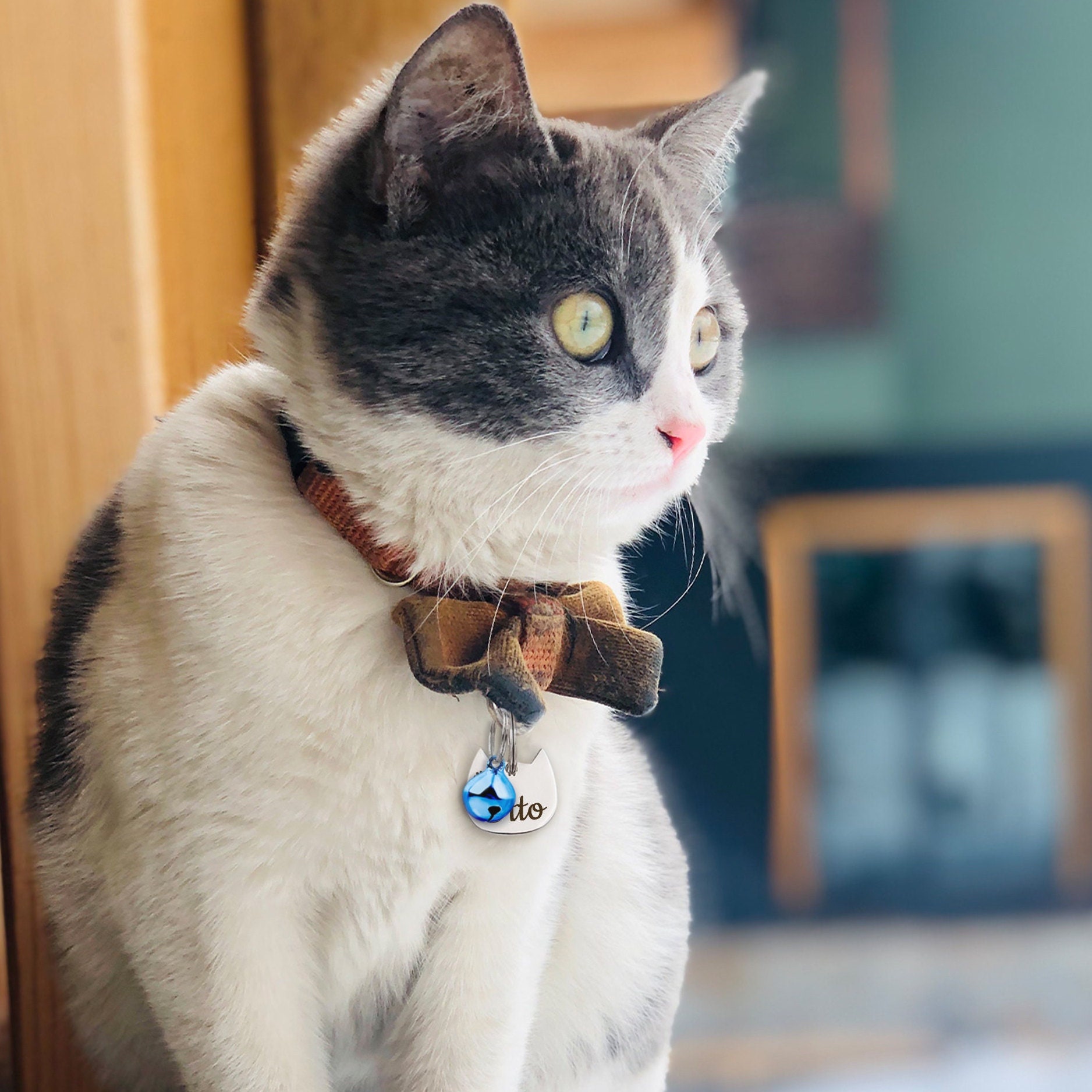 Cat Bell - Cat Collar Bell - Dog Bell - Dog Collar Bell - Jingle Bell ...