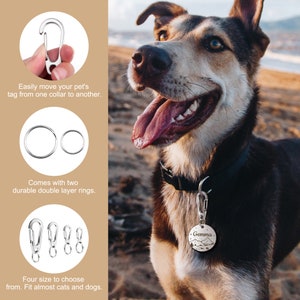 Stainless Steel Carabiner Clips - Dog Tag Clip - Cat Tag Clip - Dog Tag ...
