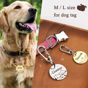 Stainless Steel Carabiner Clips - Dog Tag Clip - Cat Tag Clip - Dog Tag ...