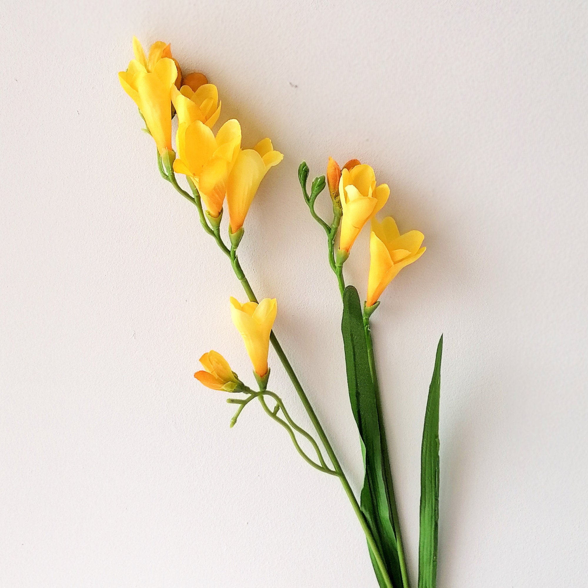 Yellow Freesia Boutonniere