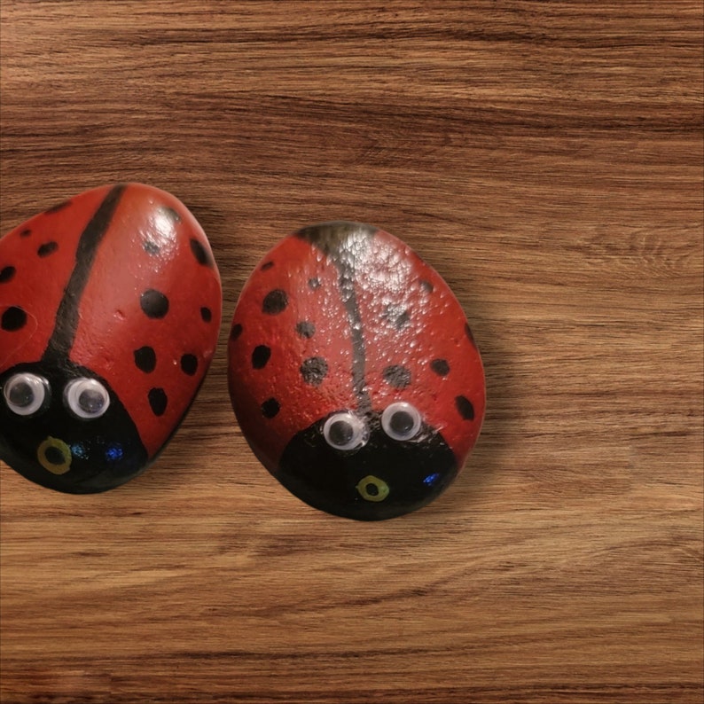 Lil Ladybug Stones googley Eyes - Etsy