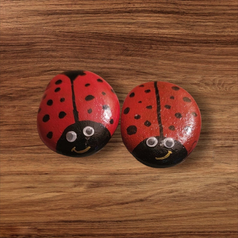 Lil Ladybug Stones (googley Eyes) - Etsy