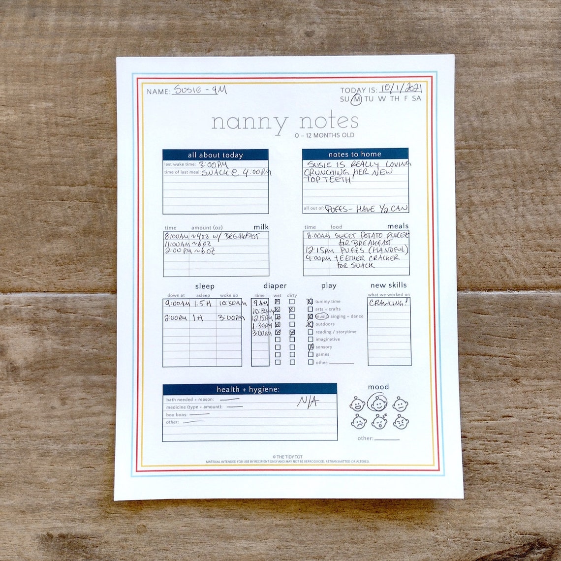 Nanny Notes (ages 0 to 12 Months) - Bright | Track Your Child's Daily ...