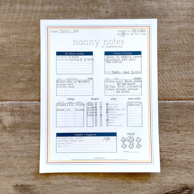 Nanny Notes (ages 0 to 12 Months) - Bright | Track Your Child's Daily ...