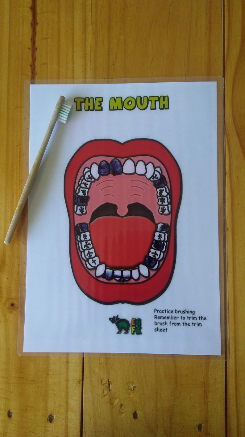 How to Brush Your Teeth, PDF Printable, Dental Guide, Toothbrush, Brush ...