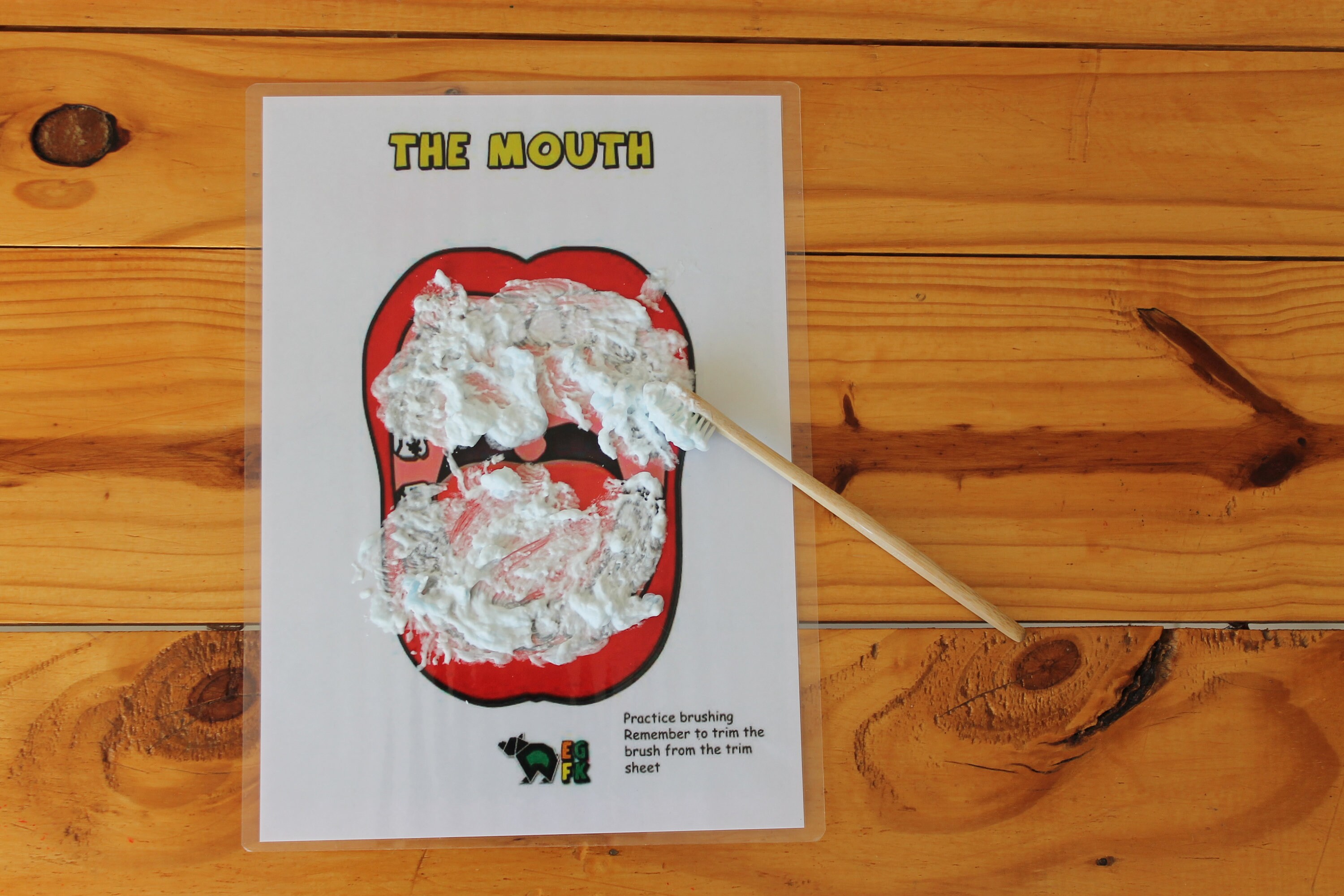 How to Brush Your Teeth PDF Printable Dental Guide - Etsy