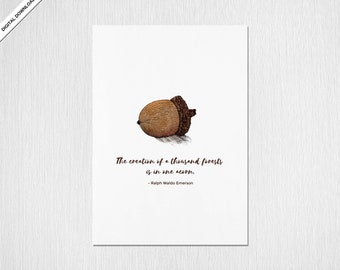 Acorn Quote Print - Etsy