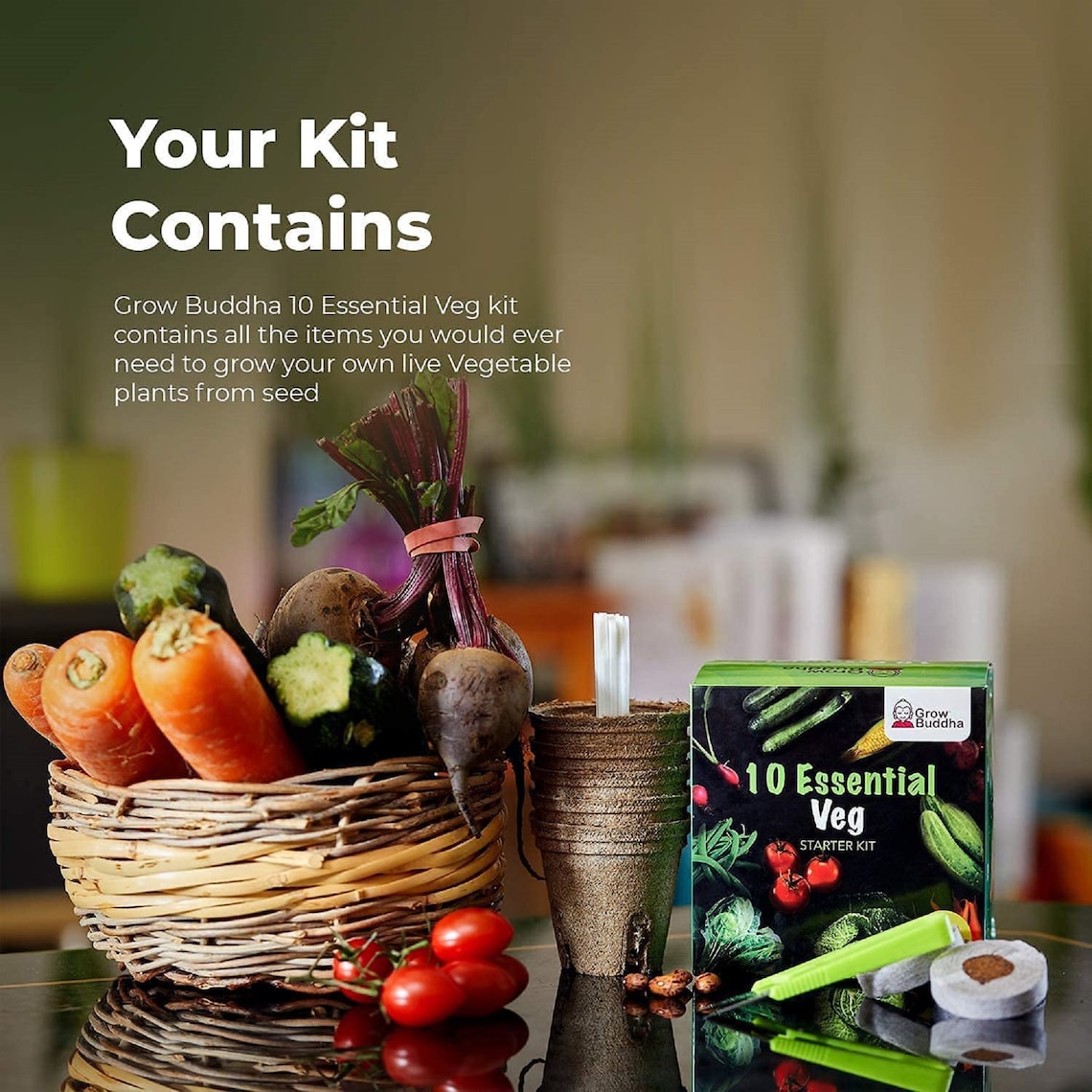 INDOOR GARDEN KIT Vegetable Seeds Kit 10 Varieties Of | Etsy