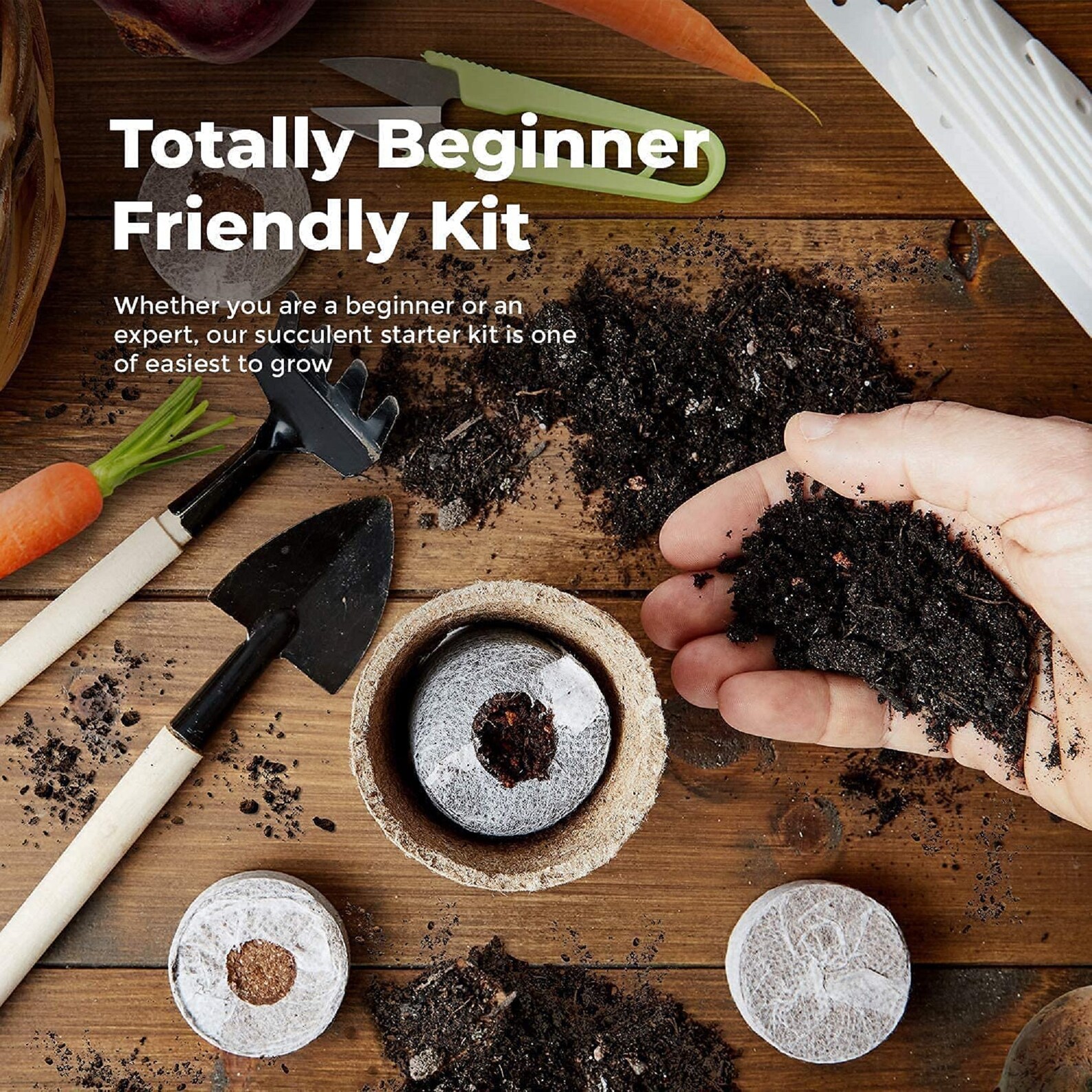 INDOOR GARDEN KIT Vegetable Seeds Kit 10 Varieties Of | Etsy