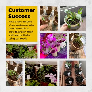 HERB SEEDS, SEED Packets, Grow Buddha 15 Varieties Grow Your Own Indoor ...