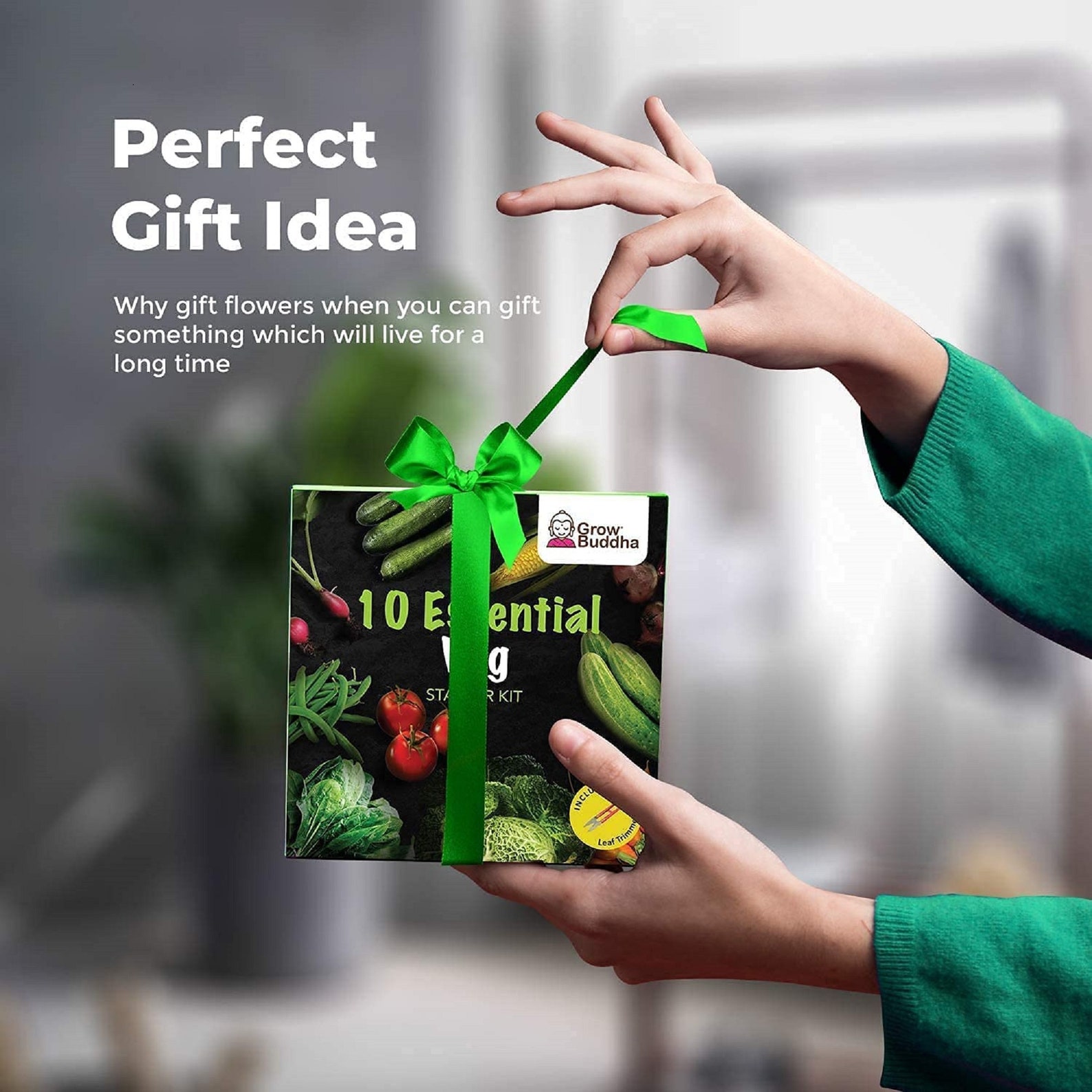 INDOOR GARDEN KIT Vegetable Seeds Kit 10 Varieties Of | Etsy