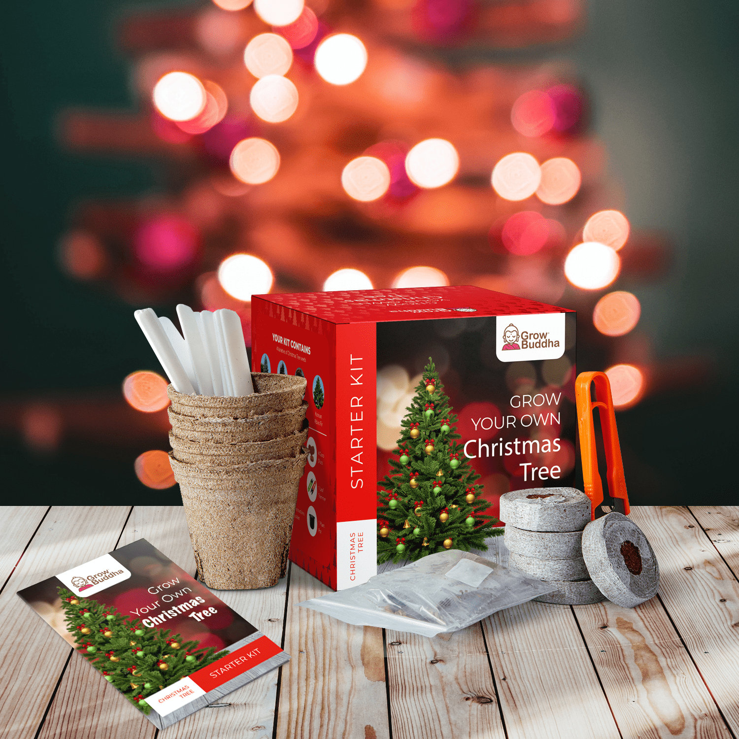 Grow Your Own Christmas Tree Kit Beginner Friendly Etsy grow-your-own-christmas-tree-kit-beginner-friendly-etsy