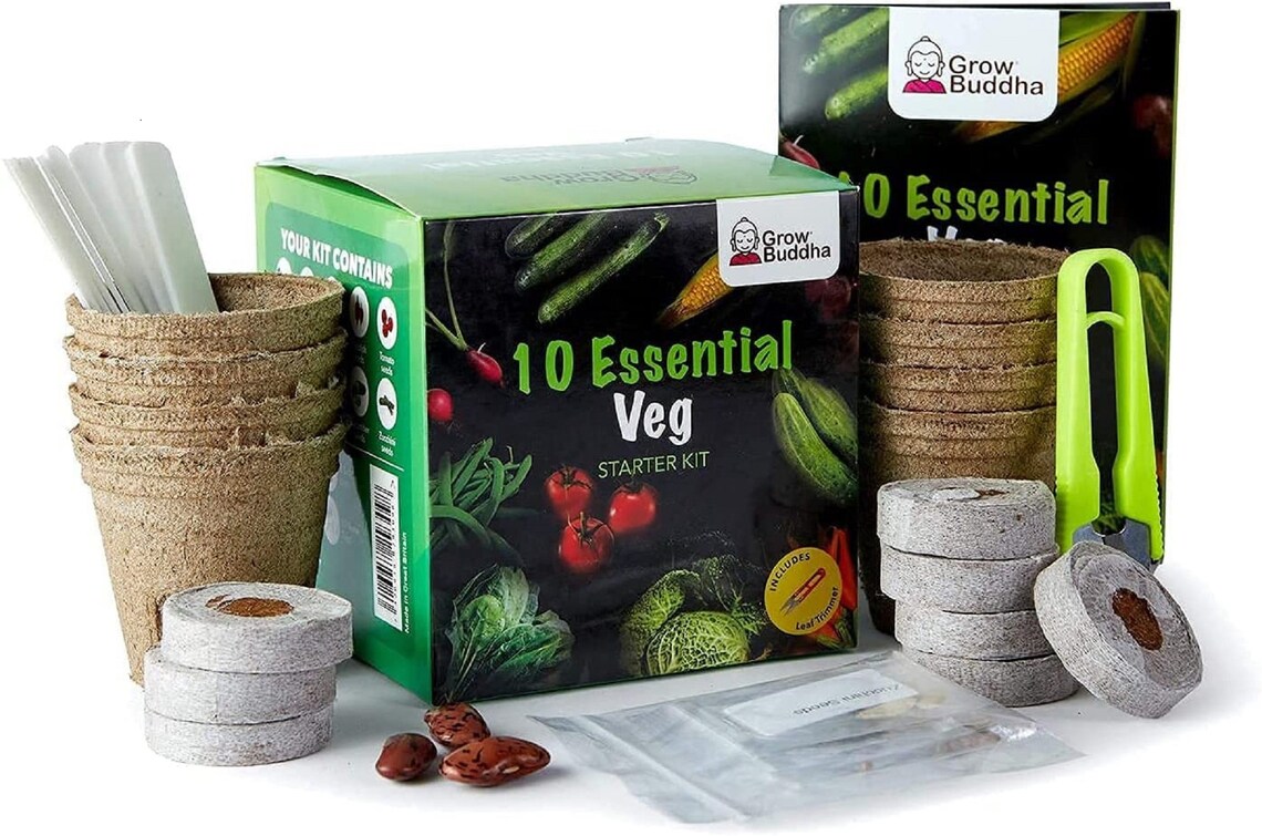 INDOOR GARDEN KIT Vegetable Seeds Kit 10 Varieties Of | Etsy