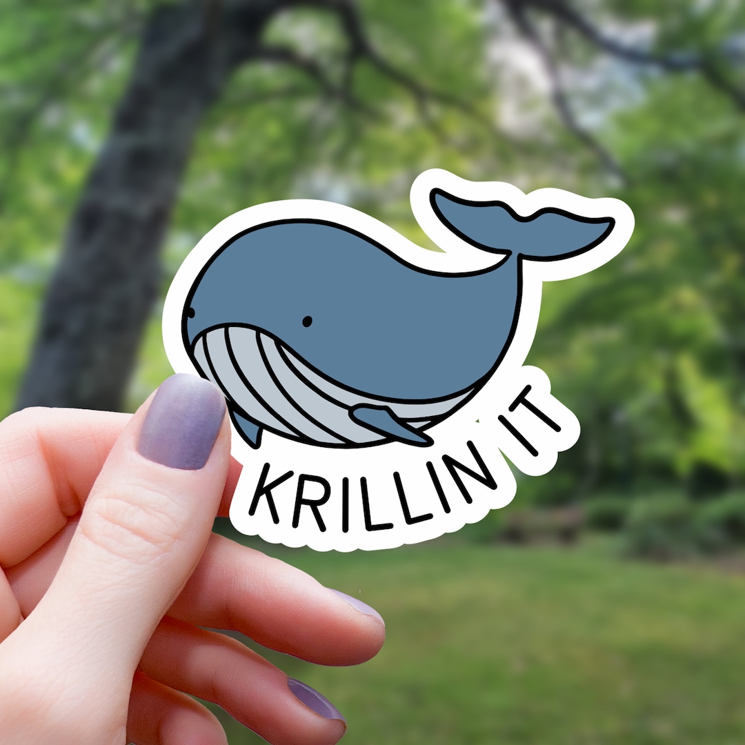 Krilling It Sticker | Whale Sticker | Vinyl Sticker | Water Bottle ...