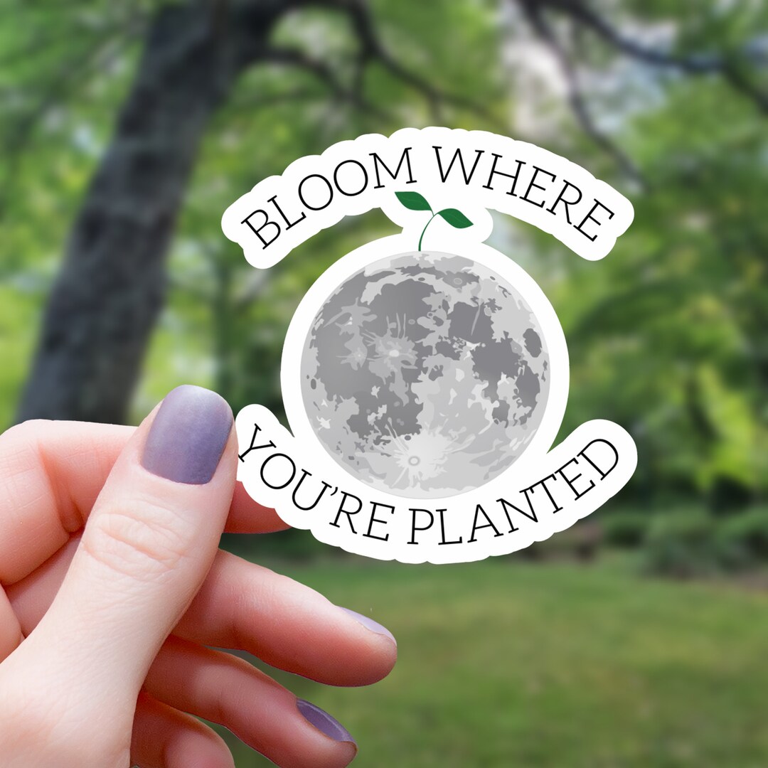 Bloom Where You're Planted Sticker | Inspiration Sticker | Vinyl ...