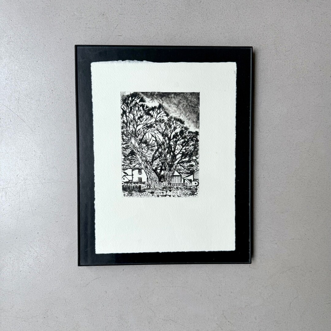 Vintage Print Tree, Mid Century Drawing Nature, Picture Tree - Etsy