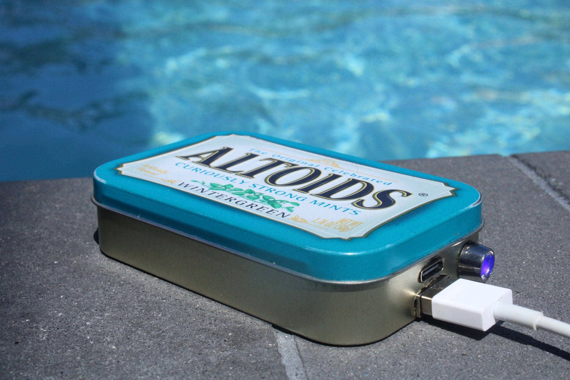 Are Altoids Safe For Dogs