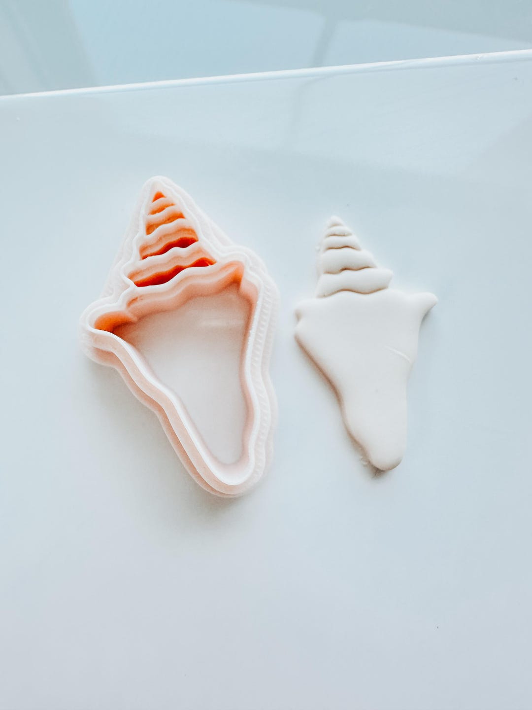 Conch Shell Clay Cutter 1.25 Inch - Etsy