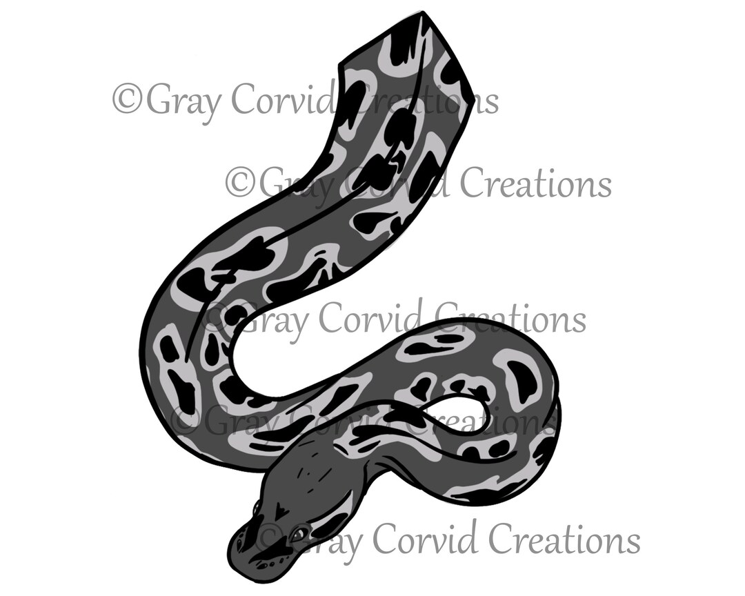Ball Python Snake Digital Download Vector Graphic in SVG, PNG, JPEG ...
