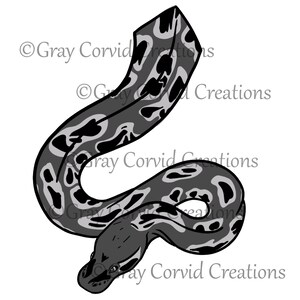 Ball Python Snake Digital Download Vector Graphic in SVG PNG - Etsy