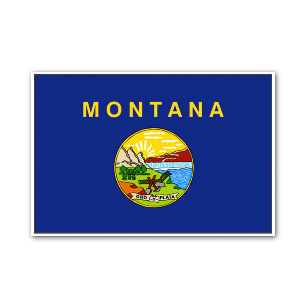 Montana Canvas Flag Art Print - Etsy