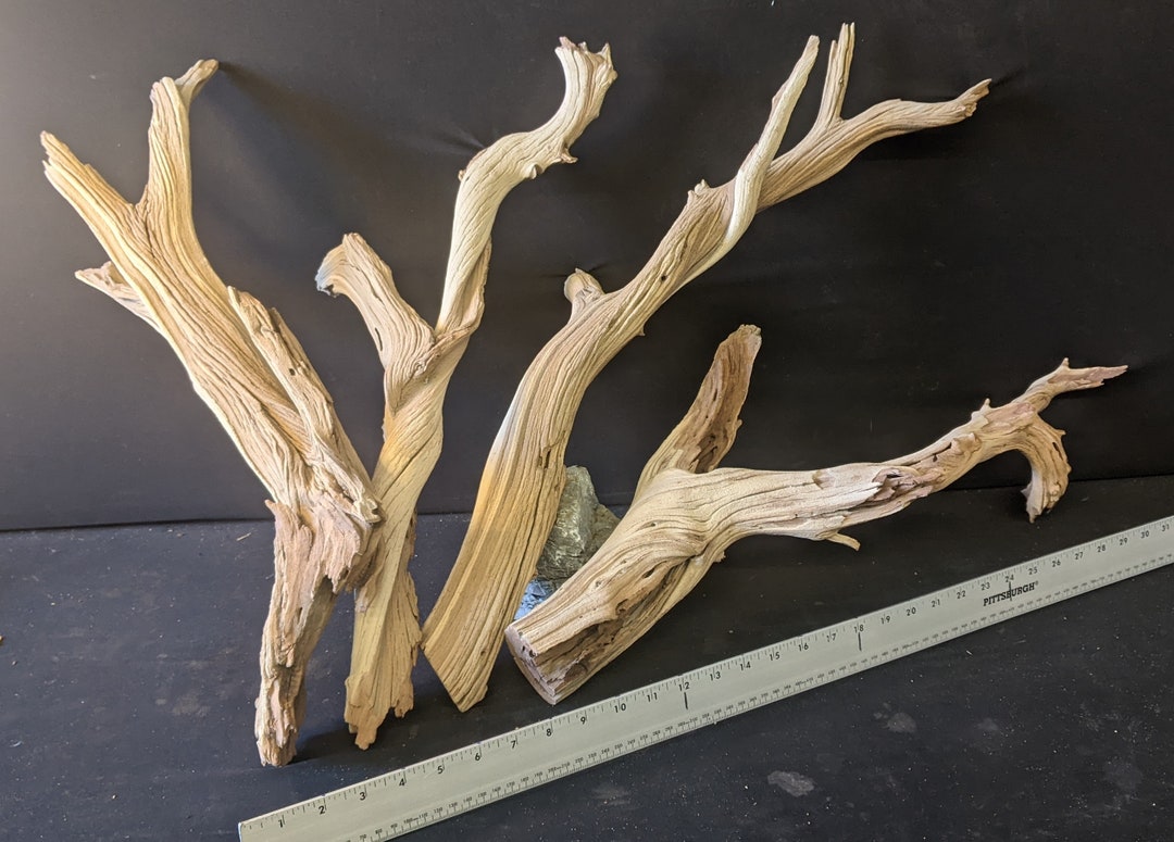 Ghostwood | 4 Pc. | 24" Long | Assorted Bulk - Etsy