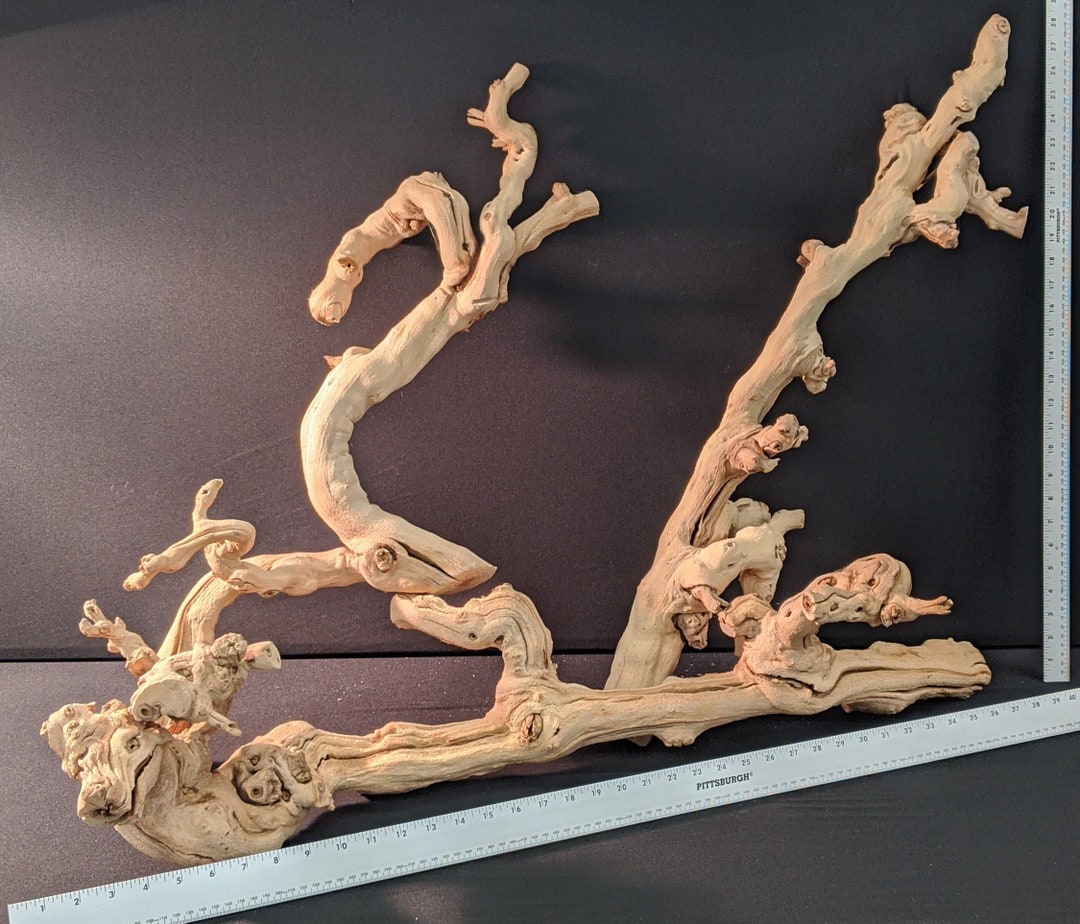 Grapevine | 2 Pc. | 36" Long | Assorted Bulk - Etsy