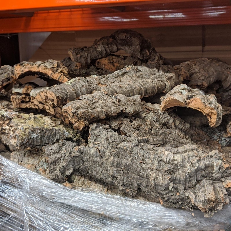 Cork Wood Bark Orchid - Etsy