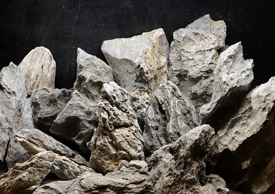 Seiryu Stone | Assorted Bulk - Etsy