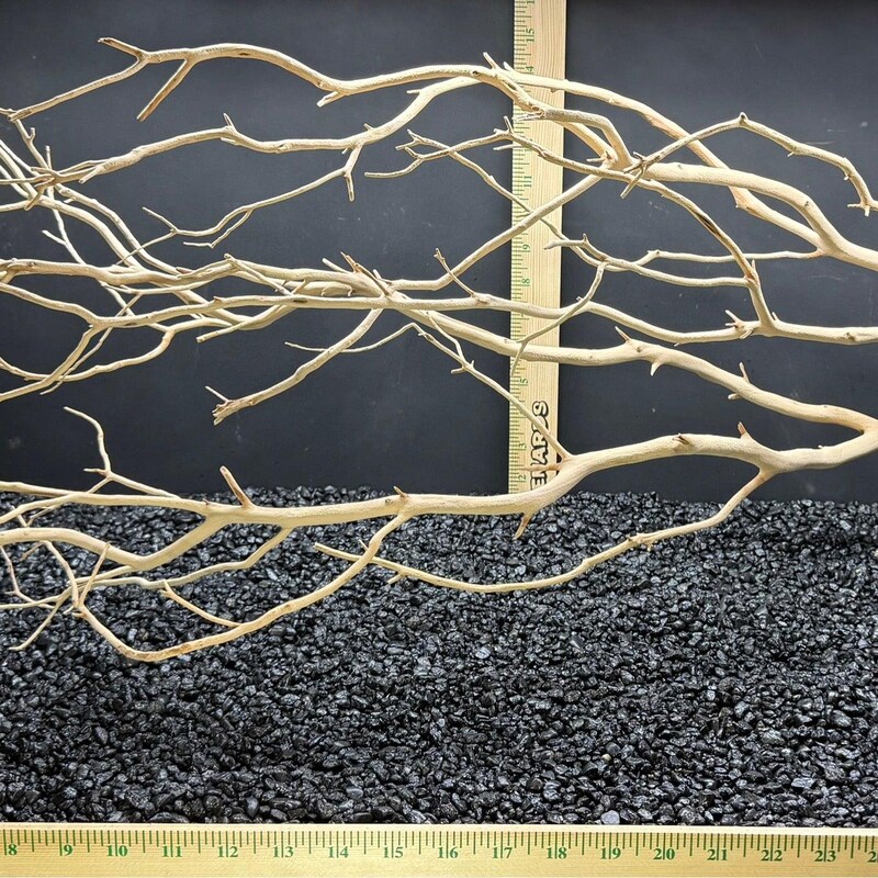 Manzanita Branch - Etsy