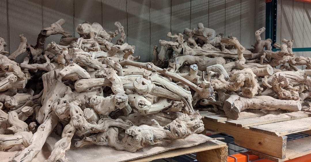 Grapevine | Assorted Bulk - Etsy