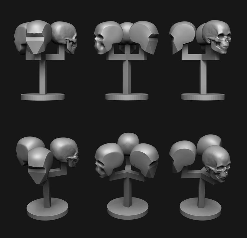 Understanding the Skull - Pack 3D Print Model - Etsy