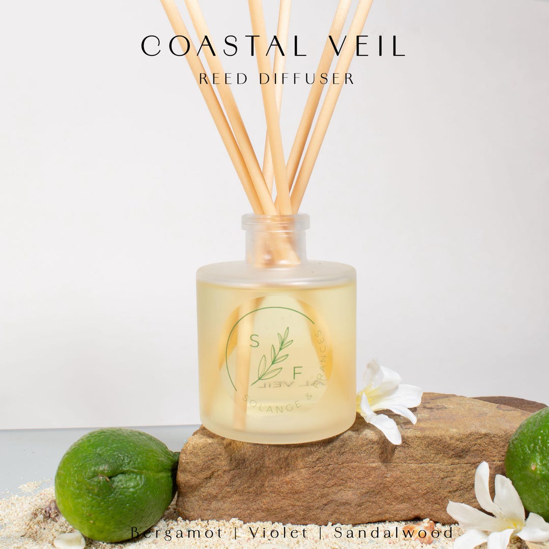 Luxury Reed Diffuser Coastal Scent Beach House Fragrance Gift ...