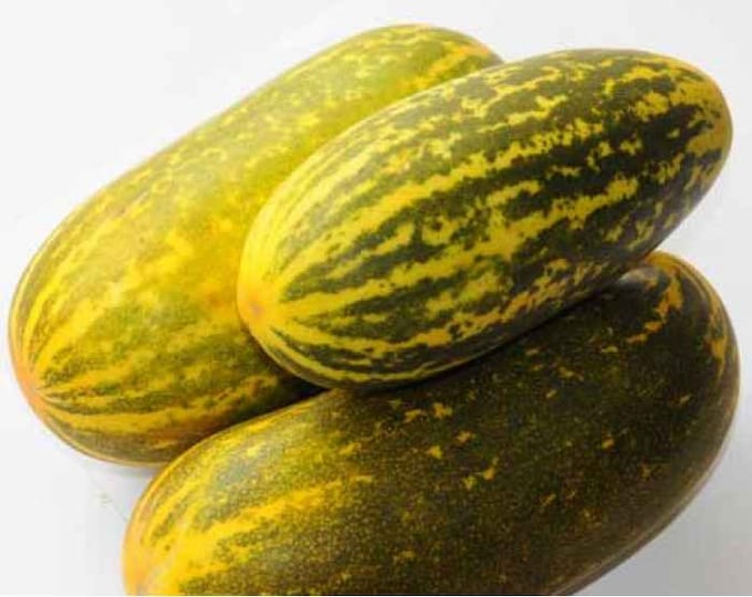 Seeds: Cucumber, Golden Melon, Dosakai, Dosekaya, Kanivellari ...
