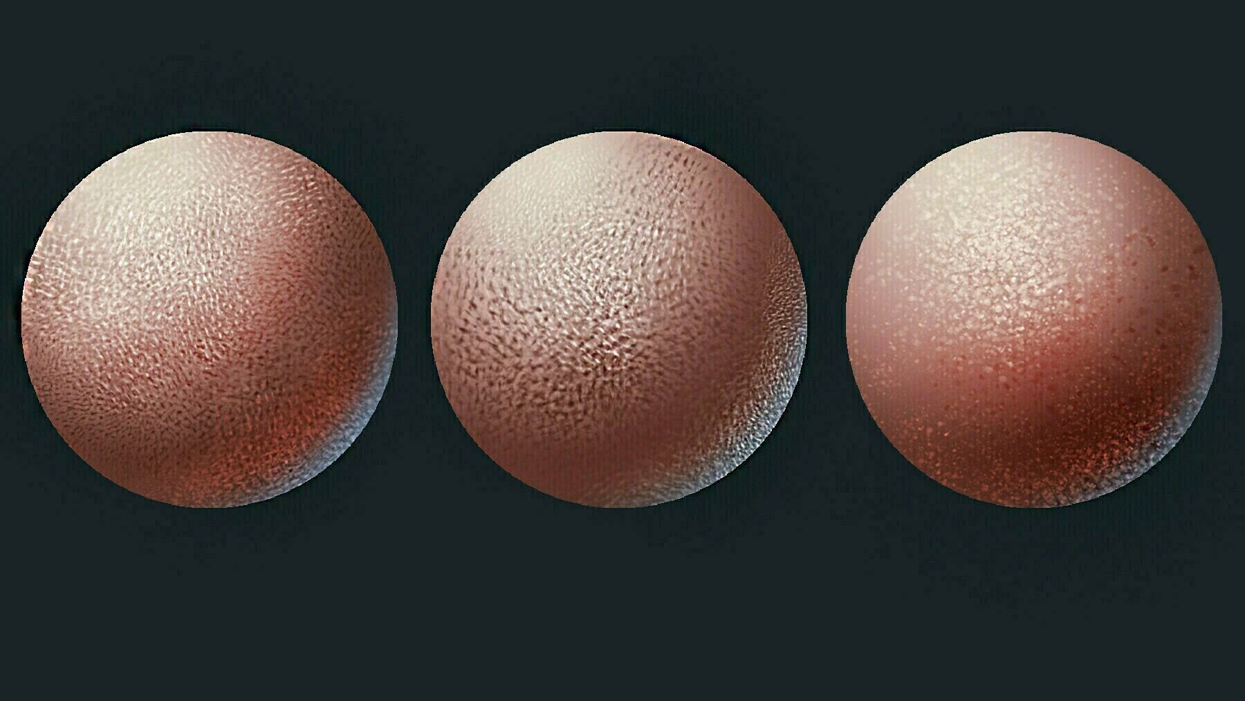 Skin Brushes for Photoshop and Procreate - Etsy