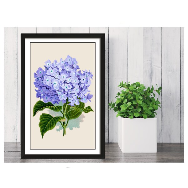 Hydrangea Print - Etsy