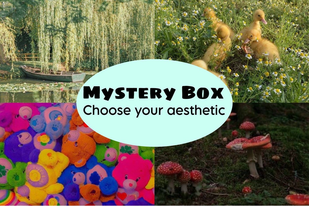 Mystery Box Fairycore Cottagecore Kidcore Goblincore Space Pride ...