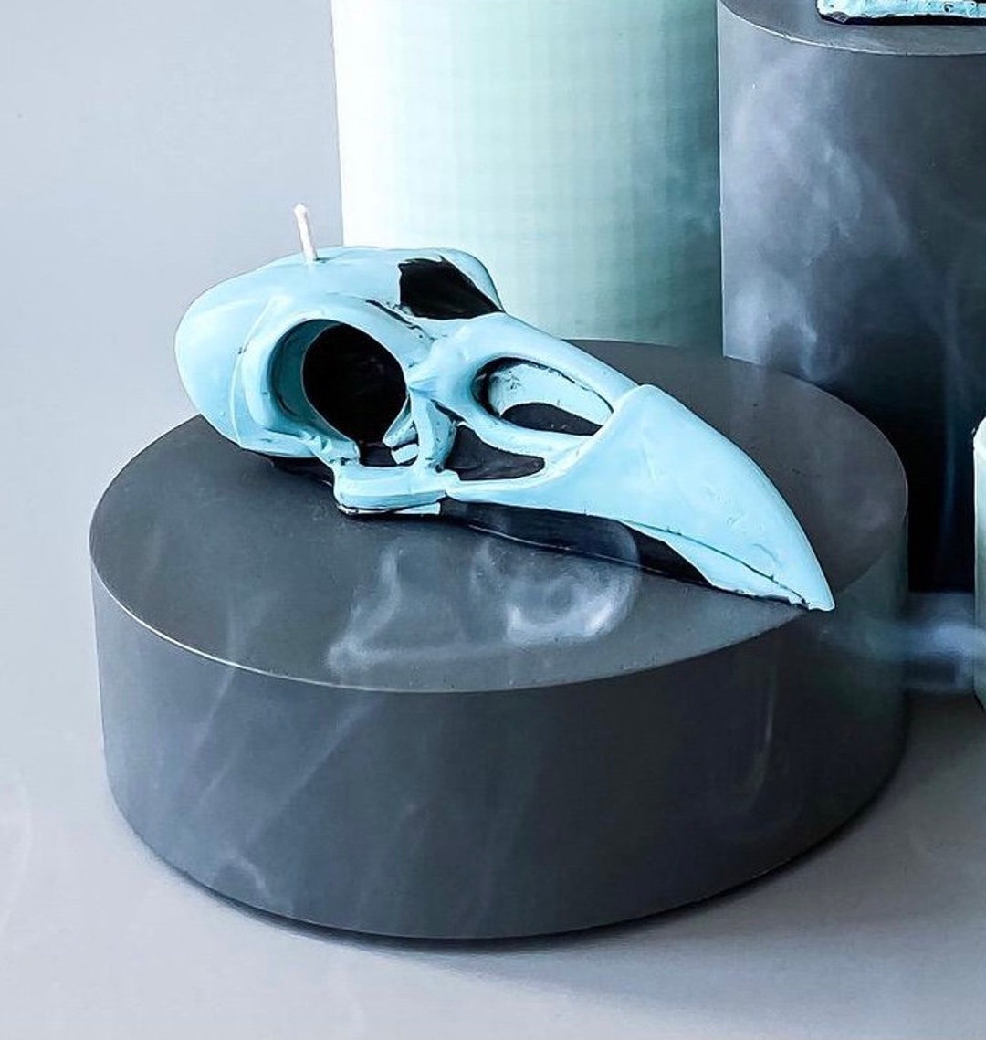 3D Raven Skull Mold 15cm (5,9"), Silicon Mold for Candle Raven ,magic ...
