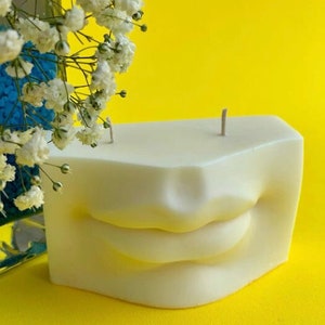 David Lips Silicone Mold Handmade High Quality Mould for Concrete David ...
