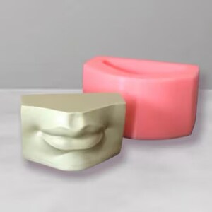 David Lips Silicone Mold Handmade High Quality Mould for Concrete David ...