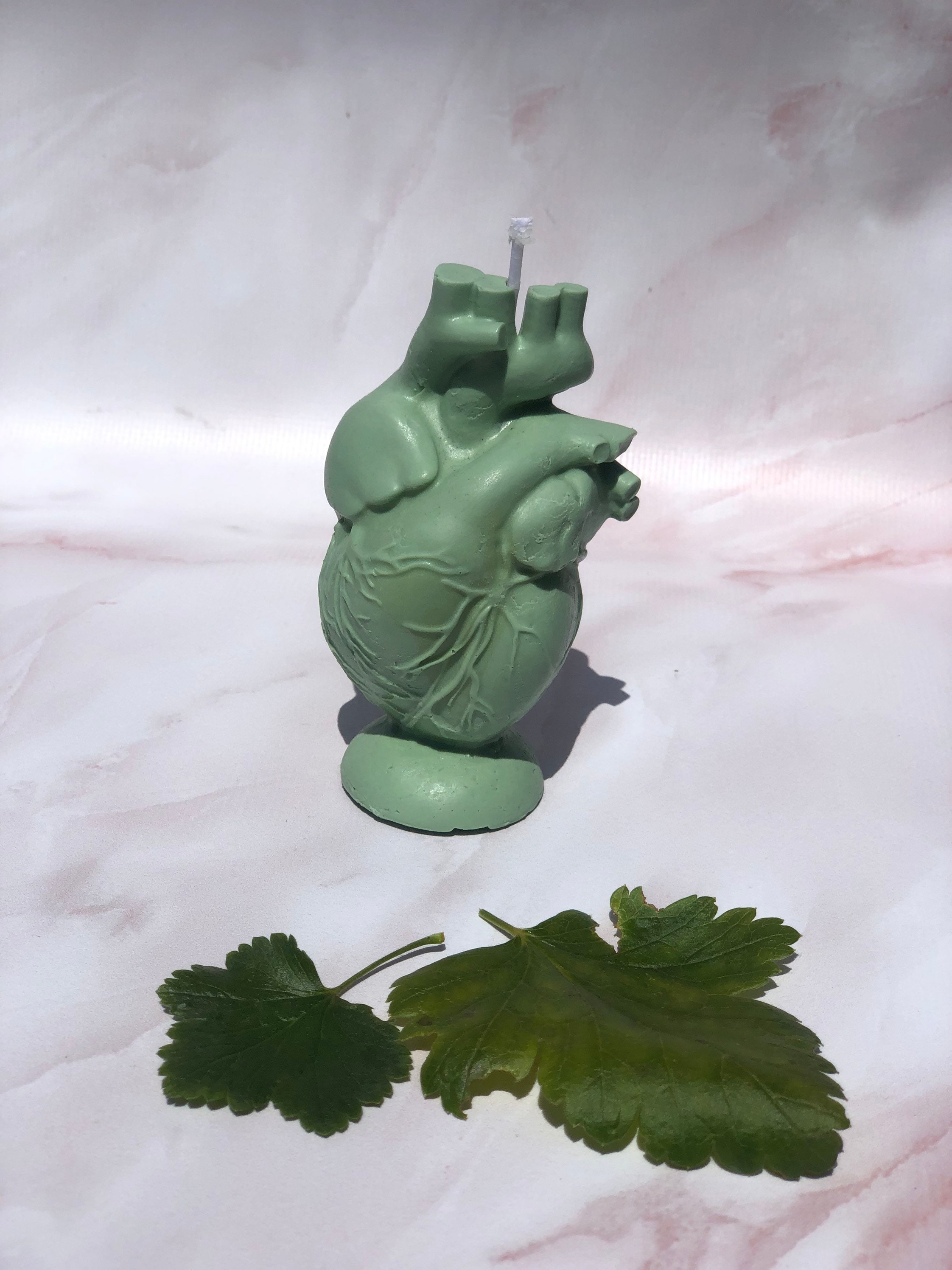 17cm 3D silicone mold XL Heart Candle Mold Anatomical Heart | Etsy